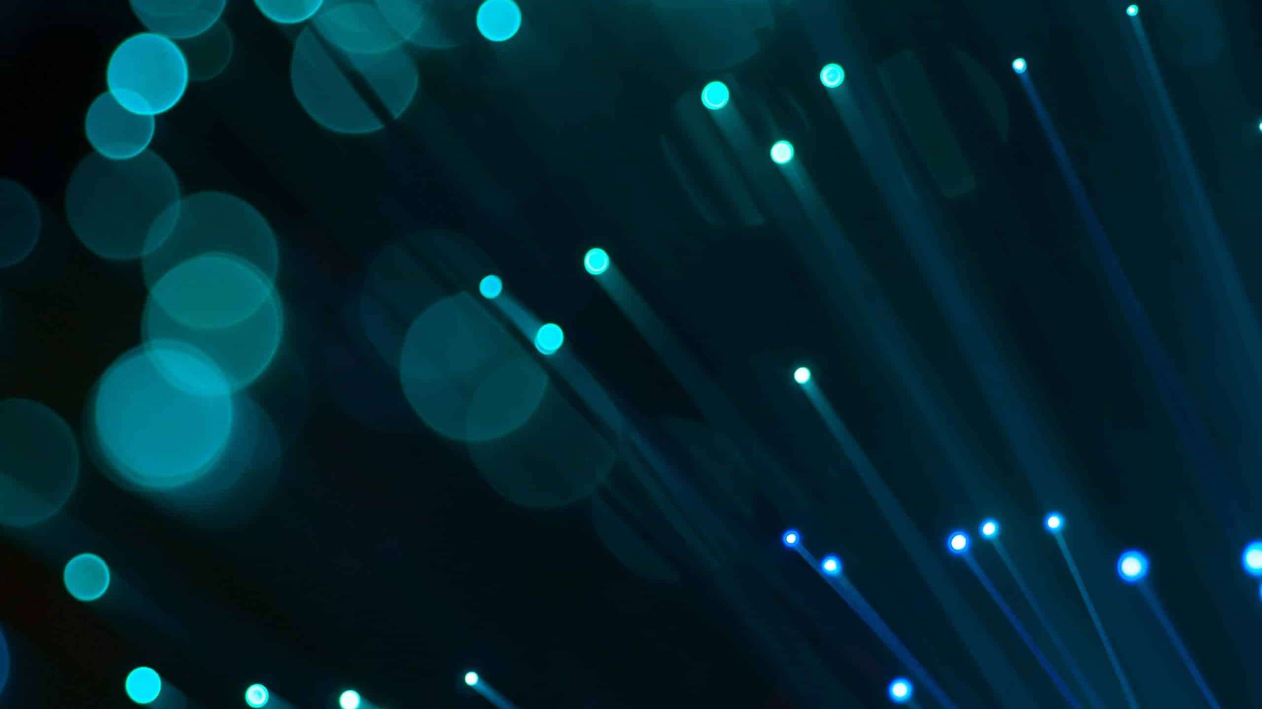 Run Deep Learning algorithms under 5MB on Windows or Linux - HarfangLab