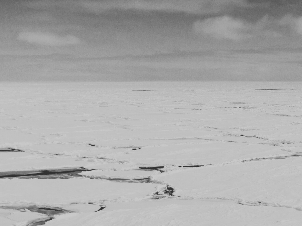 Qu’est-ce que MISP ? - HarfangLab